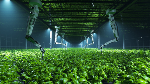 Improve Shader Performance And In Game Frame Rates With Shader Execution Reordering Nvidia