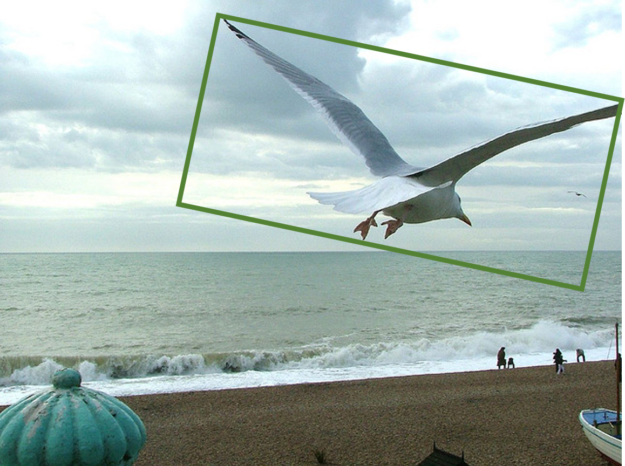Detecting Rotated Objects Using The Nvidia Object Detection Toolkit Nvidia Developer Blog