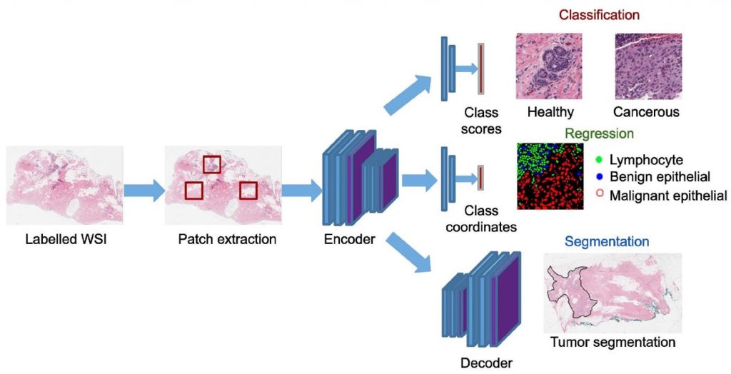 Accelerating JPEG 2000 Decoding for Digital Pathology and Satellite ...