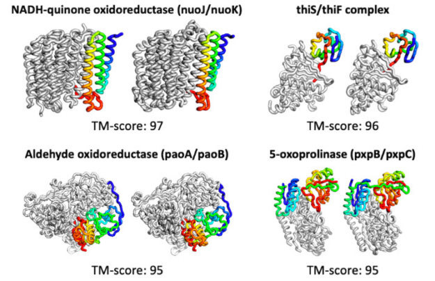 Predicting Protein Structures with Deep Learning | NVIDIA Technical Blog