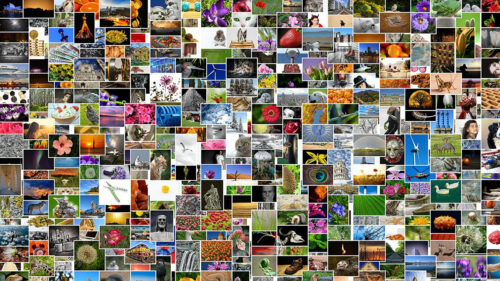 Accelerating Vector Search Using Gpu Powered Indexes With Rapids Raft Nvidia Technical Blog 3883