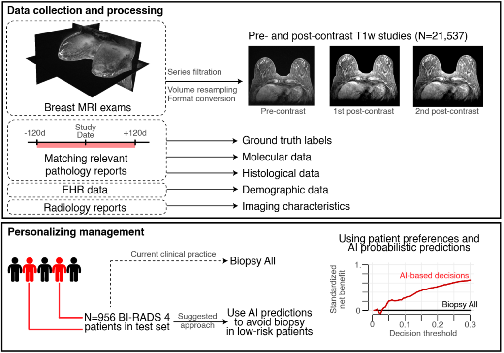 AI Model Matches Radiologists’ Accuracy Identifying Breast Cancer in MRIs | NVIDIA Technical Blog