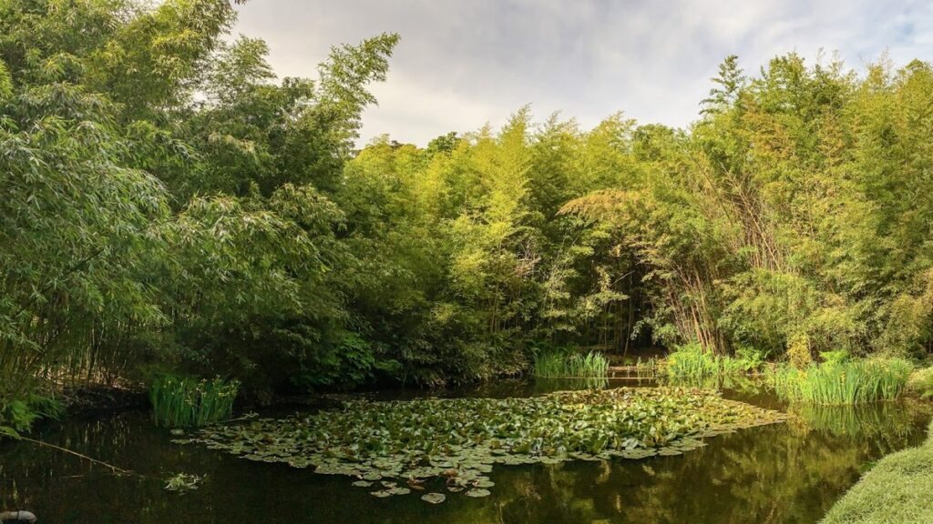 Integrating Dynamic Diffuse Global Illumination (DDGI) | NVIDIA ...