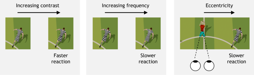 Predicting How Images Influence Visual Reaction Speed | NVIDIA ...