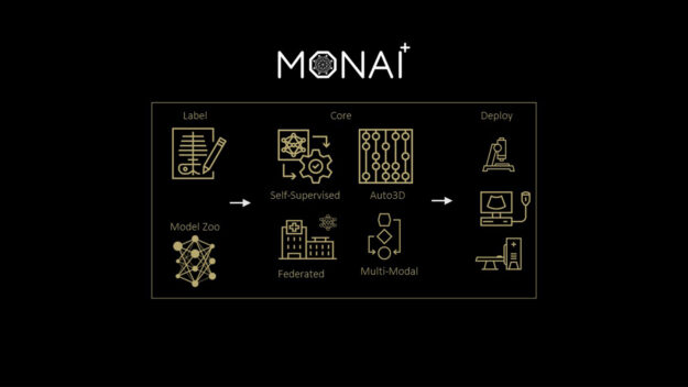 Visual Foundation Models for Medical Image Analysis | NVIDIA Technical Blog