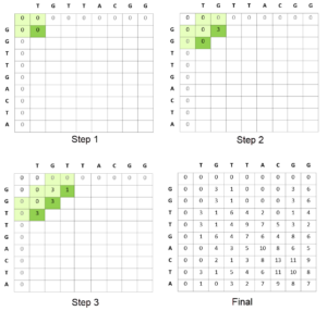 Boosting Dynamic Programming Performance Using NVIDIA Hopper GPU DPX ...
