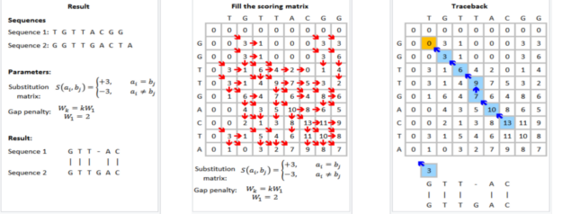 Boosting Dynamic Programming Performance Using Nvidia Hopper Gpu Dpx Instructions Nvidia