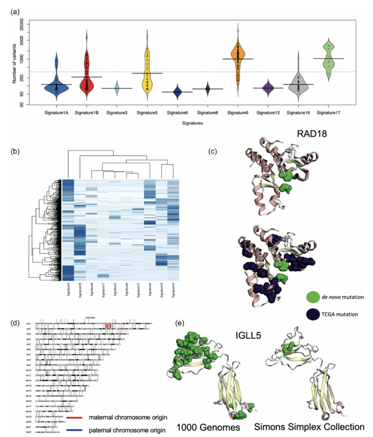 New Research Highlights Speed and Cost Savings of NVIDIA Clara Parabricks for Genomic Analyses ...