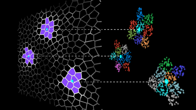 Using CUDA Warp-Level Primitives | NVIDIA Technical Blog