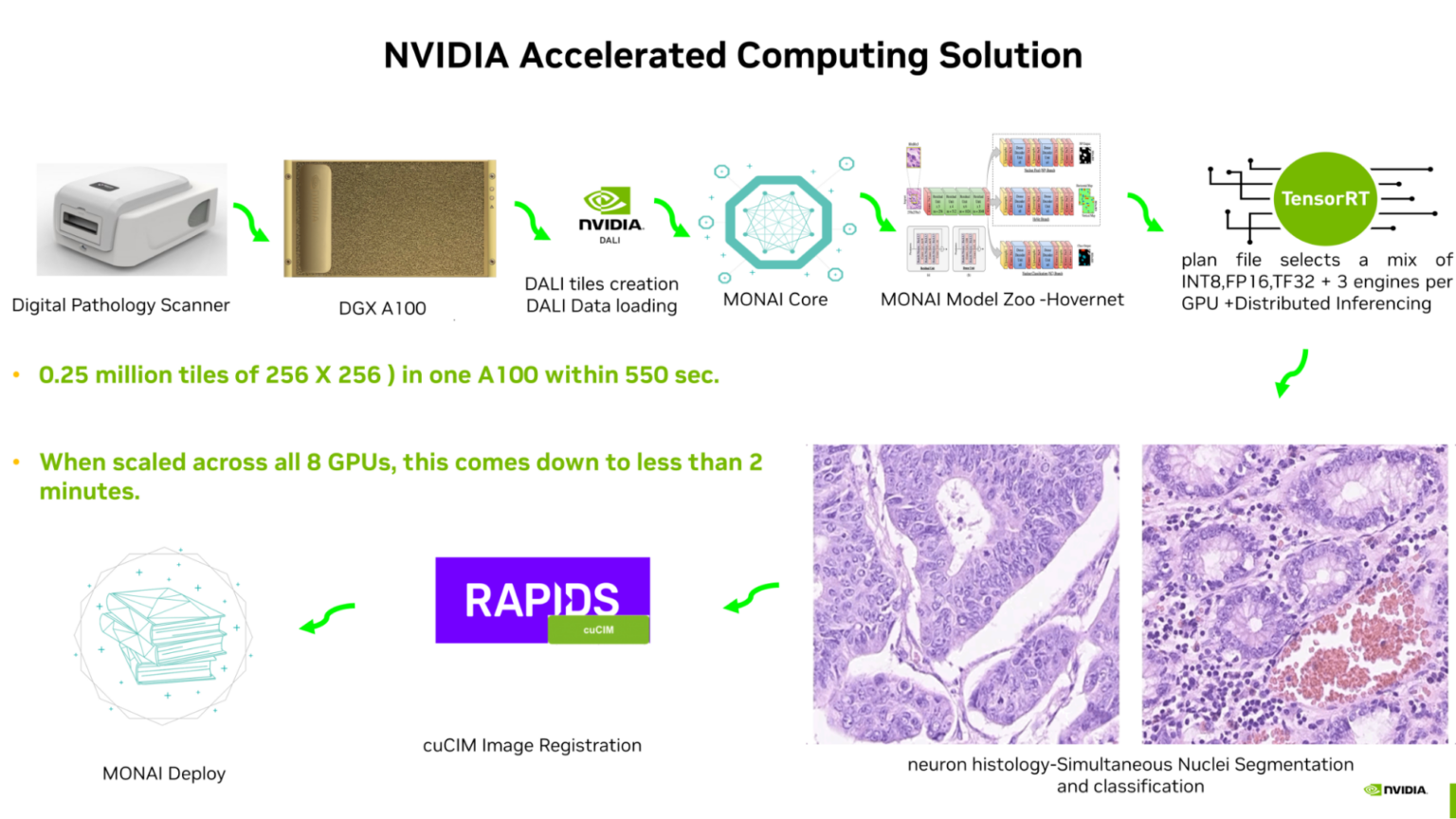 Whole Human Brain Neuro-Mapping at Cellular Resolution on NVIDIA DGX | NVIDIA Technical Blog