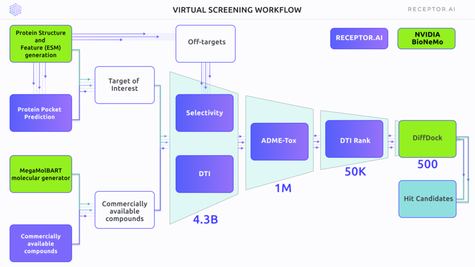 Accelerating Drug Discovery at Receptor.AI with NVIDIA BioNeMo Cloud ...