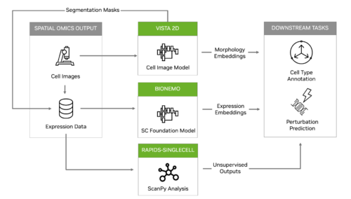 Boost Multi-Omics Analysis with GPU-Acceleration and Generative AI | NVIDIA Technical Blog