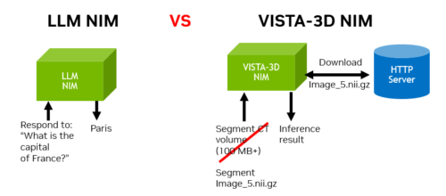 Computed Tomography Organ and Disease Segmentation Using the NVIDIA ...