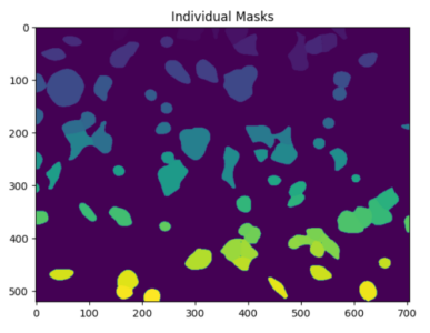 Cell Imaging Feature Extraction and Morphology Clustering for Spatial Omics | NVIDIA Technical Blog