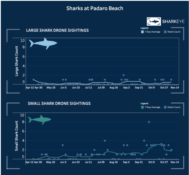 Real-Time AI Shark Detection is Boosting Beach Safety | NVIDIA ...