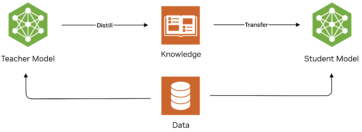 New Foundational Models and Training Capabilities with NVIDIA TAO 5.5 ...