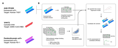 In-Silico Antibody Development with AlphaBind Using NVIDIA BioNeMo and ...