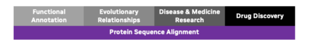 Accelerated Sequence Alignment for Protein Science with MMseqs2-GPU and NVIDIA NIM | NVIDIA ...