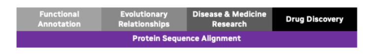 Accelerated Sequence Alignment for Protein Science with MMseqs2-GPU and NVIDIA NIM | NVIDIA ...