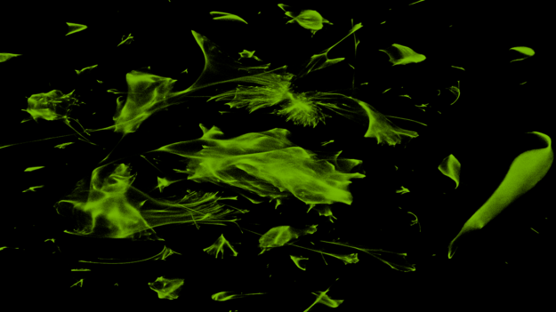 Dask Tutorial - Beginner’s Guide to Distributed Computing with GPUs in ...